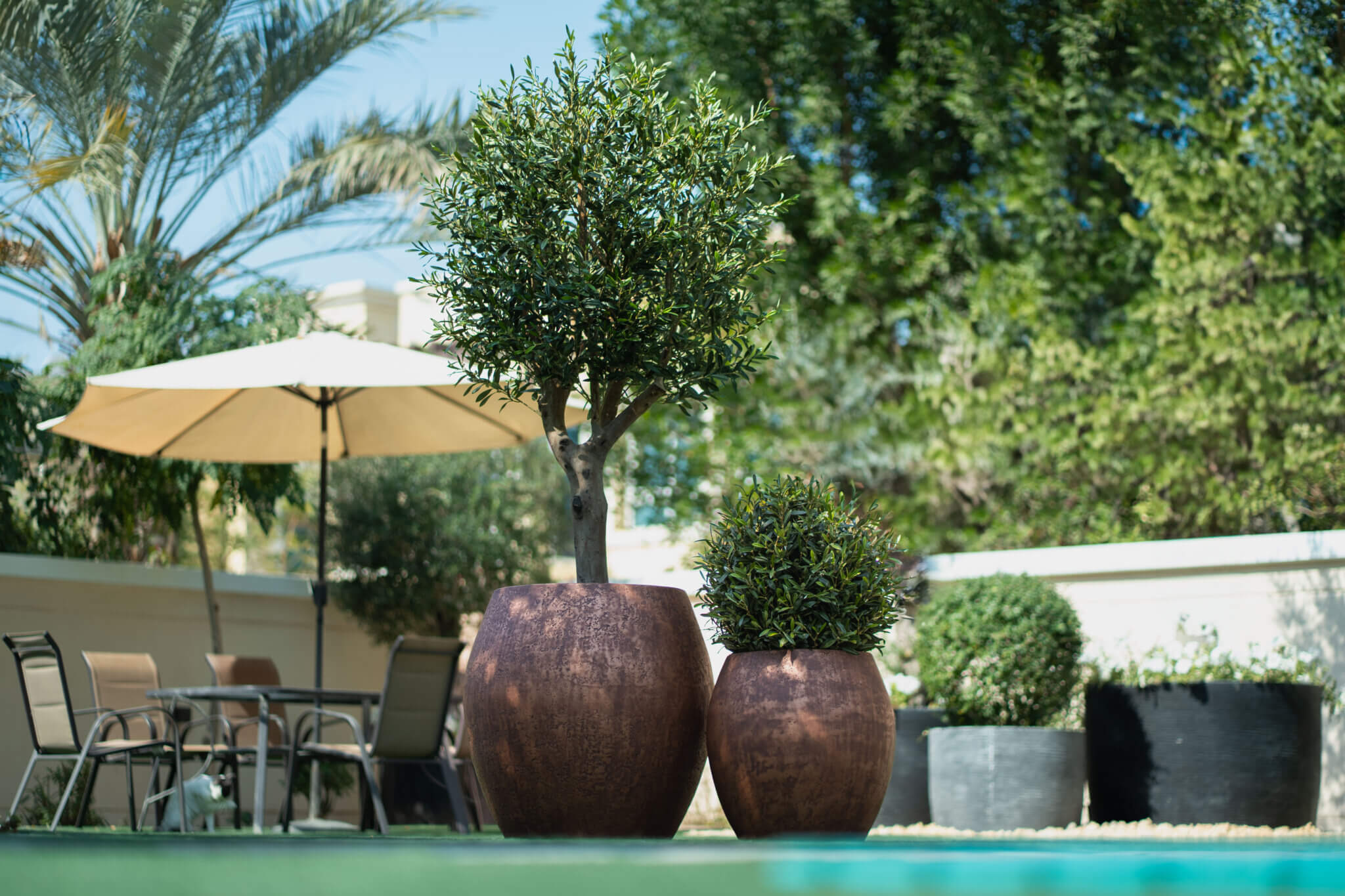 Custom Plant Pots & Outdoor Planters Dubai | Cultivate UAE