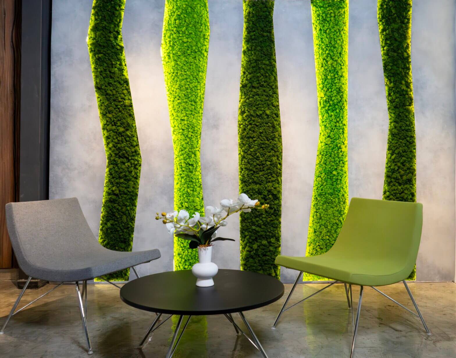 Preserved & Artificial Moss Walls in Dubai | Cultivate UAE