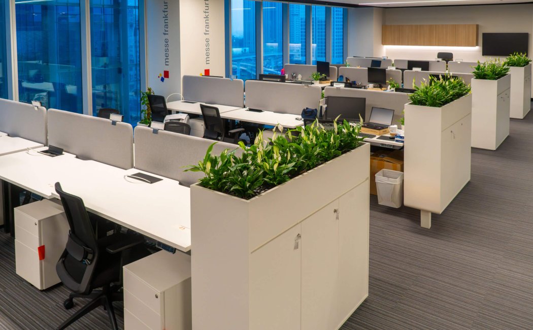 Office Landscaping Dubai | Corporate Plant Design Experts